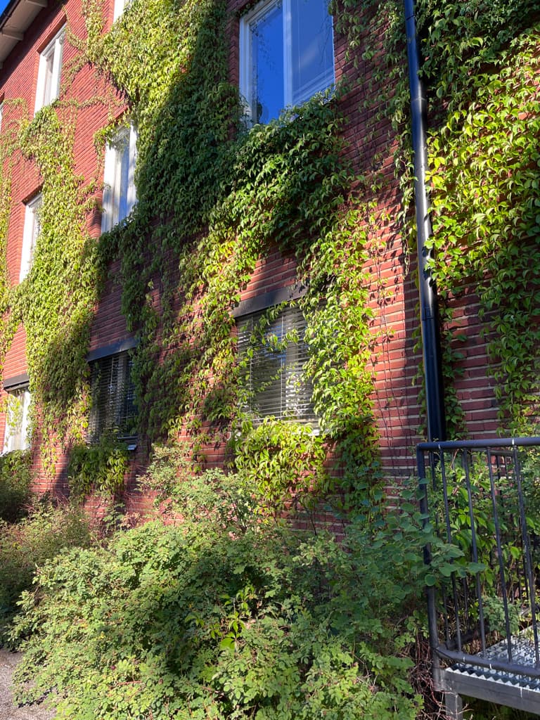 Amerikanska Gymnasiet Campus Frescati Hage - Ednia