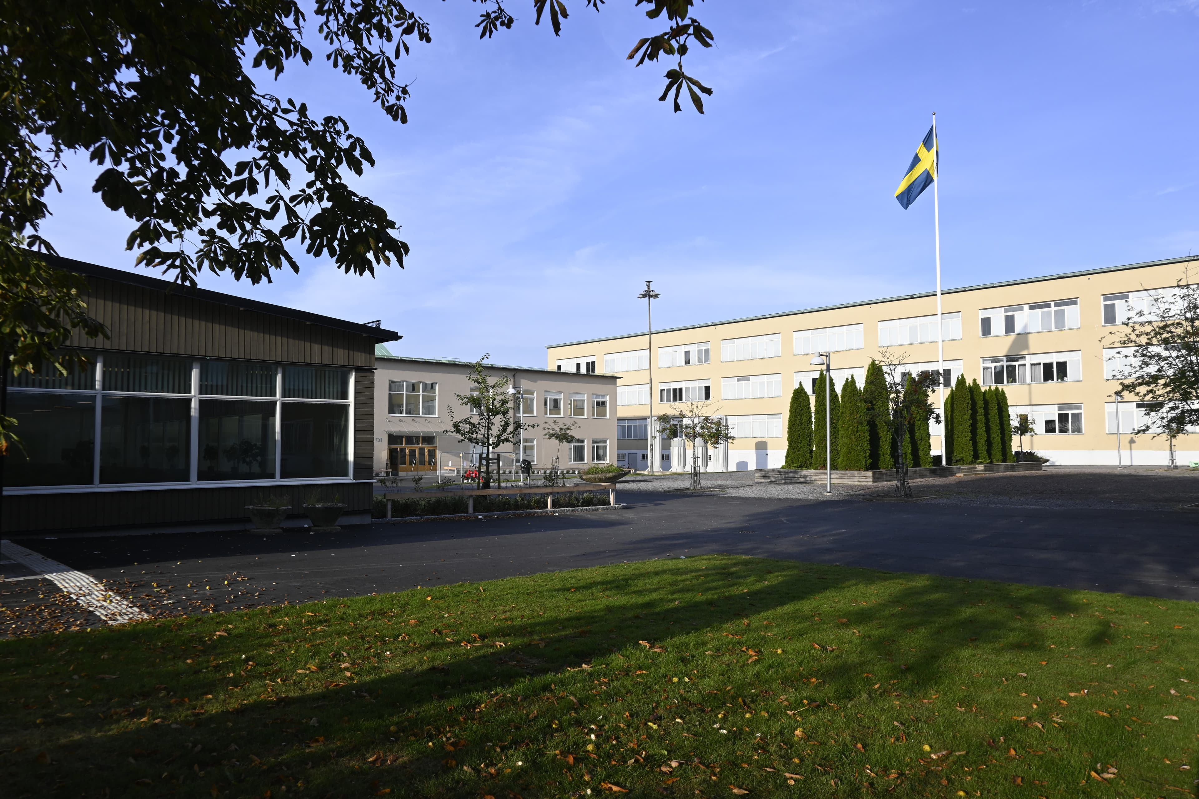 Bromma gymnasium - Antagningspoäng 2023, Statistik, & Mer